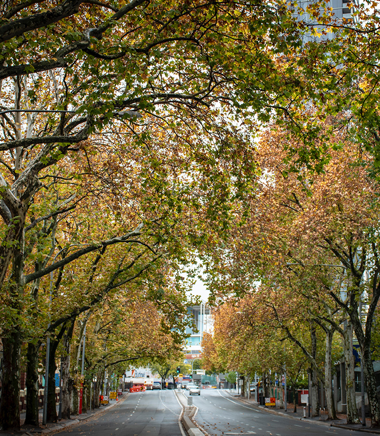 Contact us - Pitcher Partners